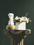 Sinsay - Decorative plant in a pot - pastelová růžová