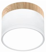 LED Stropní svítidlo TUBA LED/9W/230V bílá/béžová