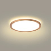 Brilagi - LED Koup. str. svít. ULTRA SLIM LED/18W/230V pr. 30 cm rose gold IP54