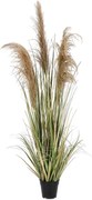 Umělá rostlina (výška 145 cm) Austorderia – Bizzotto