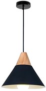 Toolight Stropní svítidlo SCANDI C Black