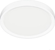 Stropní LED svítidlo Maq, 1x LED 18w, 3000-6500k, w