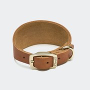 Cloud7 Kožený obojek pro chrty Camel Gold Velikost: XS