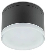 Redo 90107 - LED Venkovní stropní svítidlo AKRON 1xLED/9W/230V IP54