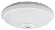 LED Stropní svítidlo se senzorem LED/12W/230V