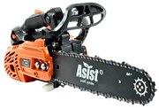 ASIST smart garden AB4P25-30 Řetězová pila 30 cm, 25,4 cm3