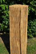 Axin Trading Rohož plotová rákos, délka 500 cm Výška: 100 cm