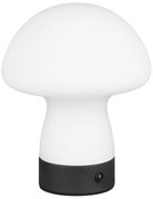 Matně bílá LED stolní lampa se skleněným stínidlem (výška 18 cm) Dooley – Reality
