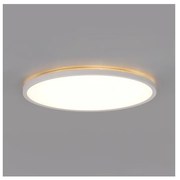 LED Koupelnové stropní svítidlo NIVERA LED/32W/230V IP54 pr. 42 cm bílá