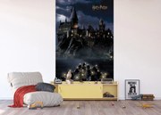Dětská vliesová fototapeta na zed' Harry Potter První Rok v Bradavicích | 150 x 270 cm | DFTD2P5621