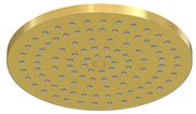Steinberg 340 - Hlavová sprcha, průměr 22 cm, kartáčované zlato 340 1686 BG