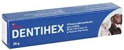 LIVISTO group / aniMedica GmbH Dentihex 2mg/g pasta pro psy a kočky 20g