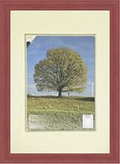 40x50 | Rámeček Kasette ECO třešeň SKLO čiré