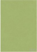 Breno Kusový koberec COLOR UNI Dark Green, 200x290 cm, Zelená