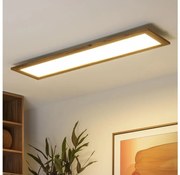 Brilagi - LED Stmívatelné svítidlo SLIMFRAME WOOD LED/58W/230V 124x34 cm + DO