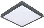 LED Stropní svítidlo se senzorem VITALI LED/24W/230V 4000K