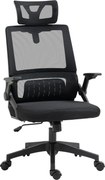Ergonomická kancelářská židle Vinsetto s nastavitelnou opěrkou hlavy, výškou područek a funkcí naklonění, bederní opora, síťovina, černá | Aosom