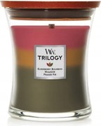 WoodWick Trilogy střední svíčka Hearthside Foyer 275 g