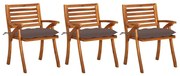 Zahradní jídelní židle s poduškami 3 ks masivní akáciové dřevo 3060850