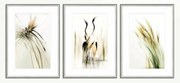 Moderní a elegantní triptych do obývacího pokoje a ložnice, sada 3 obrazů, Prchavá Série | Anna Borkowska