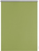 Lichtblick Termo zatemňovací roleta, od 45 x 150 cm (zelená, 50 x 150 cm)