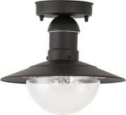 Rabalux 8716 Oslo stropní svítidlo 1xE27 IP44