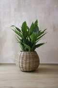 Přírodní koš na rostliny PALLA, ratan, průměr 55 cm, natur