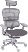 Kancelářská židle Ergohuman 2 Elite ST GT grey