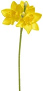 narcis 36 cm - žlutá
