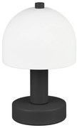 Černo-bílá stolní lampa se skleněným stínidlem (výška 19 cm) Glenn – Reality