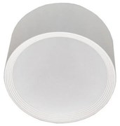 LED Stropní svítidlo PERCI LED/20W/230V IP40 4000K bílá