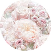 Komar Samolepicí vliesová fototapeta Dot Pink and Cream Roses pr. 125 cm