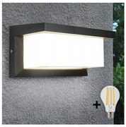 LED Venkovní nástěnné svítidlo NEELY 1xE27/9W/230V 4000K IP54 antracit