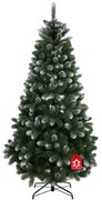 Borovice zasněžená 150 cm