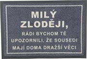 Rohožka Milý zlodeji 40x60 cm – na von aj na doma, 40x60, šedá, GDmats