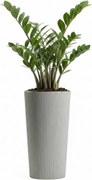 PLASTOVÝ KVĚTINÁČ URBANIKA ECO 36,5X19,5 CM ŠEDÁ