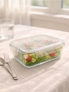 Sinsay - Transparentní lunch box s víkem - clear