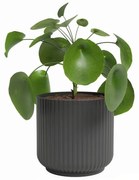 Keramický květináč ø 19 cm Luna – Artevasi
