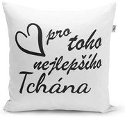 Sablio Polštář Pro toho nejlepšího tchána: 40x40 cm