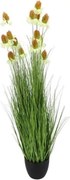 Dekorativní okrasná tráva s květy Cosmos v květináči – 120 cm