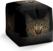 Sablio Taburet Cube Kočka - 50x50x50 cm