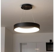Brilagi - LED Stmívatelný lustr na lanku LED/40W/230V 3000-6500K černá + DO BRKL02R-40W/LED-CR