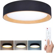 LED stropní světlo s dálkovým ovládáním Larios nastavitelné - průměr 39 cm, černá