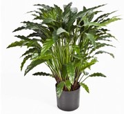 Calathea umělá V 84 cm