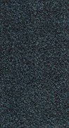 Rinos bv, Čistící zóna Robust 137 zelená, šíře 135 cm, šíře 1,35m,2m, zelená, pvc, chodba / předsíň