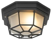 Venkovní stropní svítidlo tmavě šedé 21,3 cm IP44 - Bri