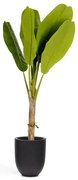 Umělá palma (výška 160 cm) Baa – Kave Home