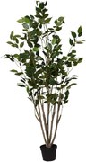 Umělý kaučukovník ALBERO, plast, výška 125 cm, zelená