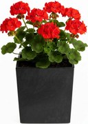 PLASTOVÝ KVĚTINÁČ FLORE 30,5X29,5X29,5 CM IMITACE BETONU ČERNÁ