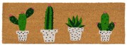 Rohožka z kokosového vlákna 25x75 cm Cactus – Casa Selección